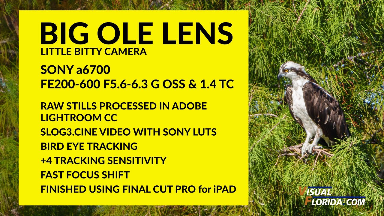 Sony a6700 eye detect focus tracking video FE 200-600mm and SLog3 for ...