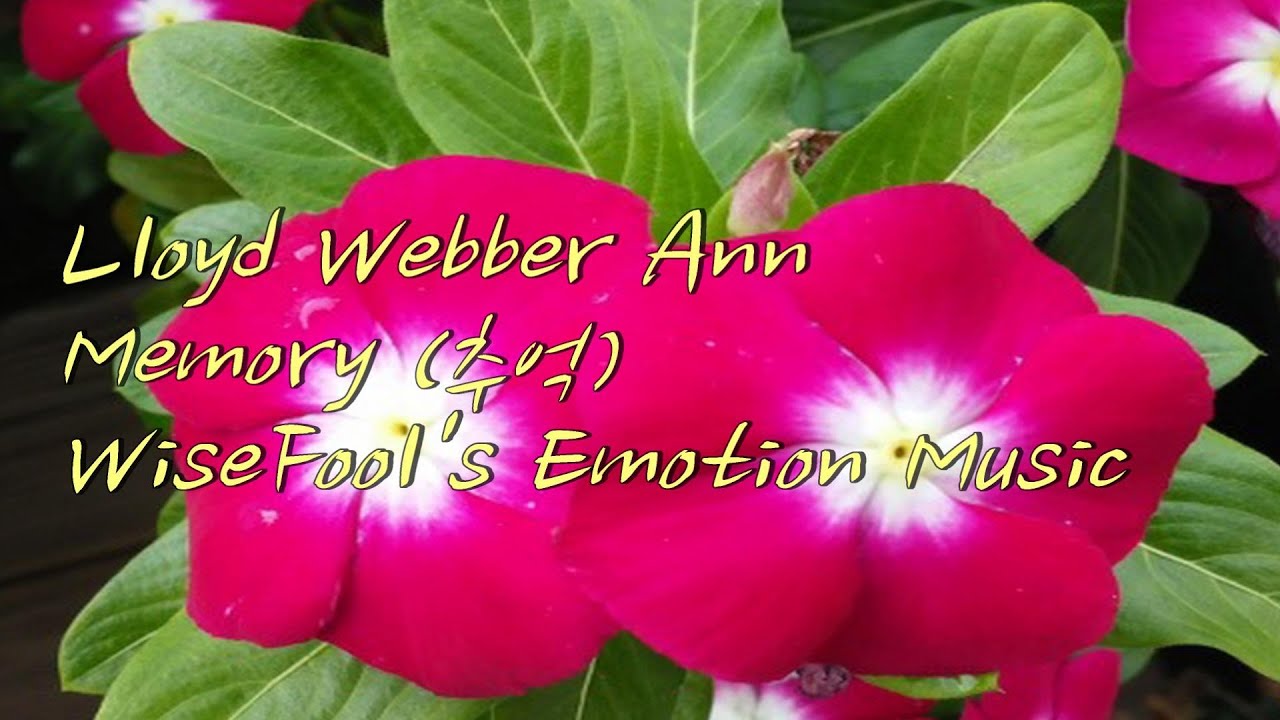 Lloyd Webber Ann - Memory (추억) / Musical Cats OST - YouTube