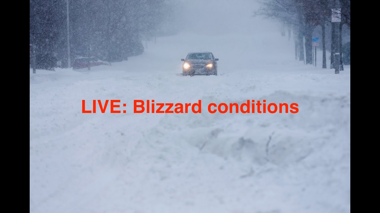 LIVE Blizzard - Heavy Snow, Damaging Winds, Whiteout Visibility - YouTube