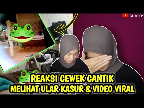 Ome tv ular kasur || Reaksi cewek cantik ini malu malu