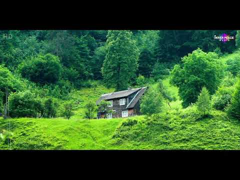 Short Deep relaxation music calming nature | Inner Peace Music