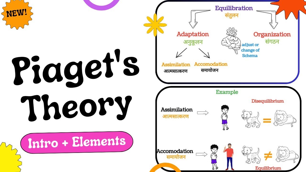 Piaget's Cognitive Development Theory | Elements | CDP Animation in ...