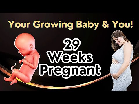I'm 29 Weeks Pregnant: What to Expect? - YouTube