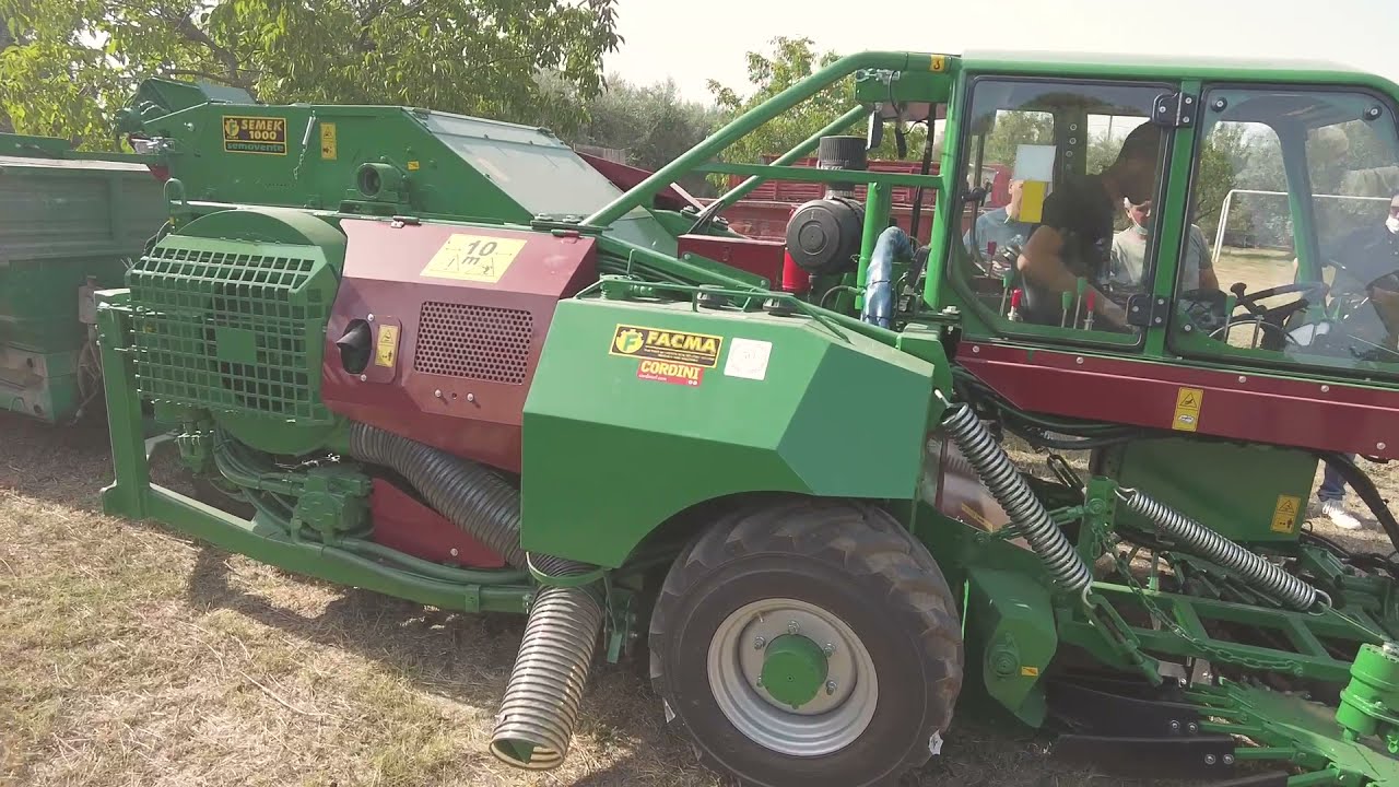 RACCOGLITRICE MECCANICA FACMA SEMEK 1000 | CORDINI SRL - YouTube