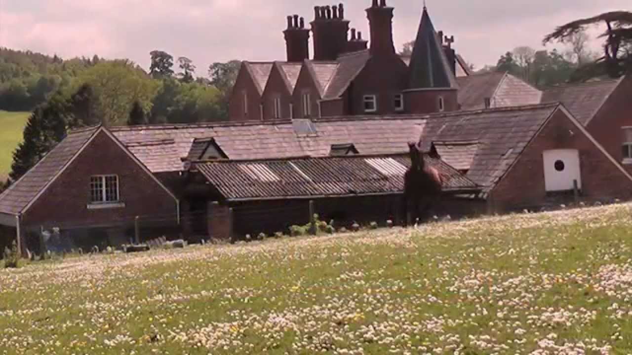 Eriviat Hall Rent This Magical Hall for your Wedding or Private Party ...