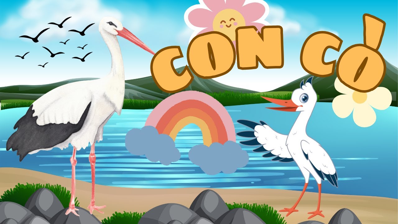 GIỚI THIỆU VỀ CON CÒ DÀNH CHO CÁC BẠN NHỎ - YouTube