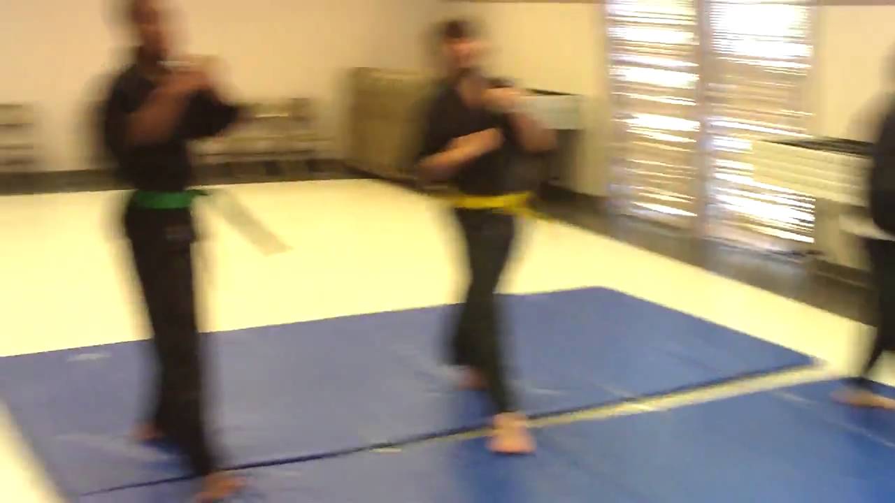 Hapkido Hook Kick - YouTube