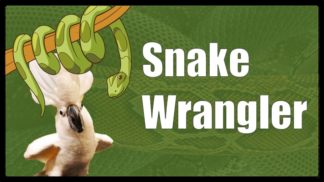 Snake Wrangler - YouTube