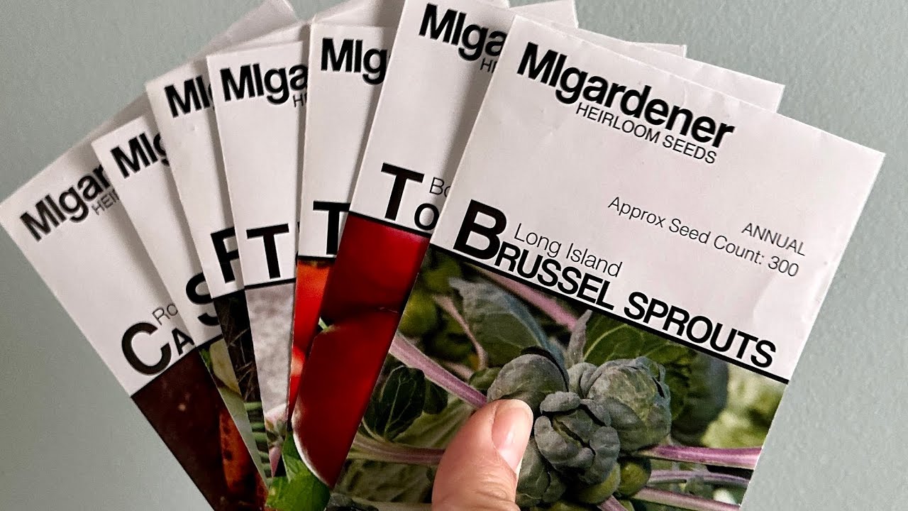 MI Gardener Mini Seed Haul + starting fall seeds indoors - YouTube