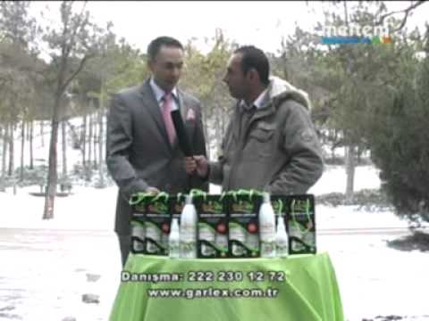 GARLEX Sarımsak Şampuanı