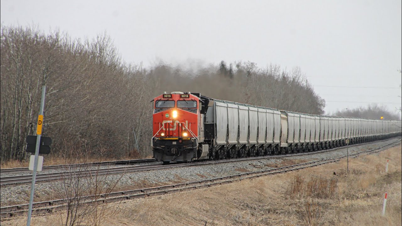 CN 3019 Leads A Manifest Train West With An Odd Horn Sequence - YouTube
