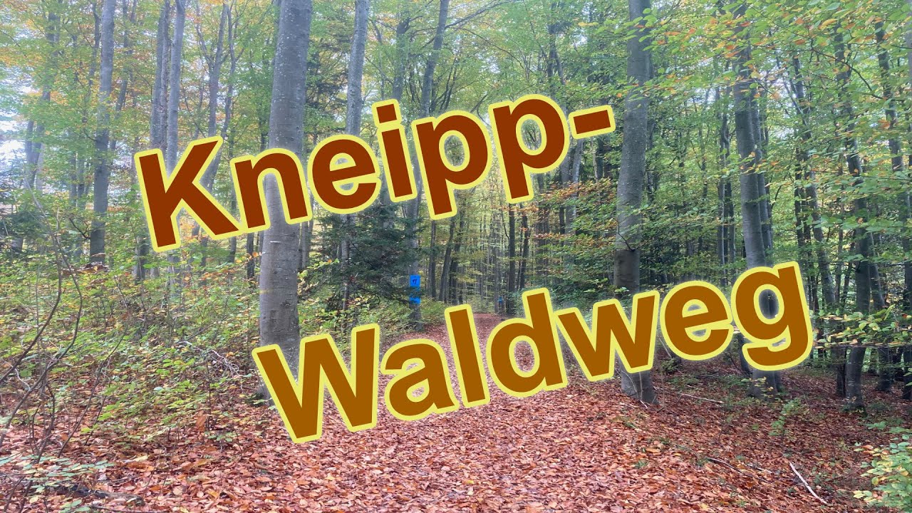 Kneipp Wald Rundweg - YouTube