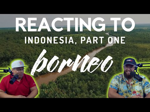 Americans React to Indonesia | Tanjung Puting, Borneo