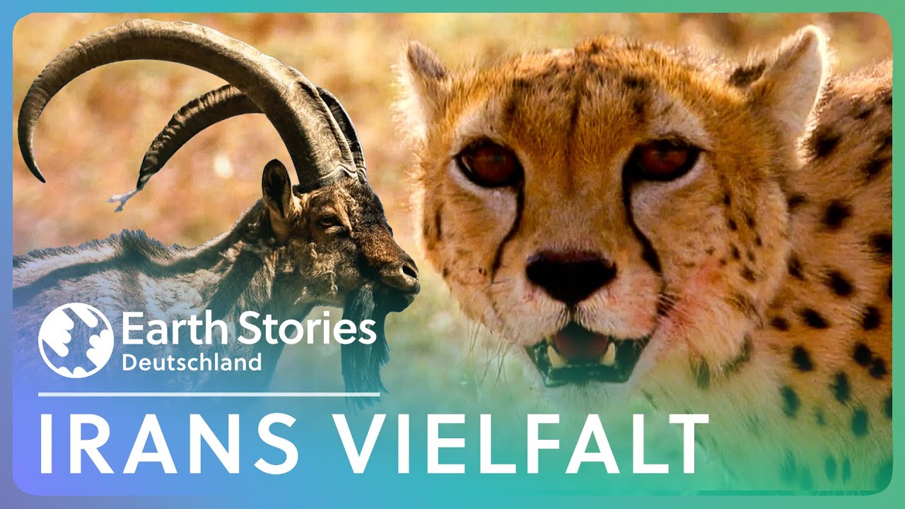 Unentdeckter Süden: Irans beeindruckende Tierwelt | Earth Stories ...