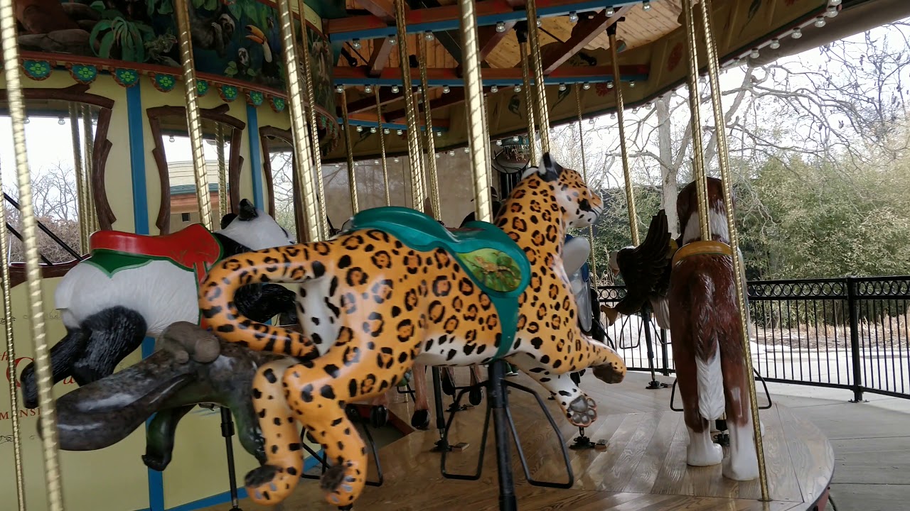 The Carousel 🎠 Zoo 4K - YouTube