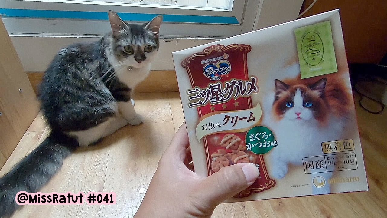 SNACK KUCING BIKIN NGILER PEMILIKNYA! - YouTube