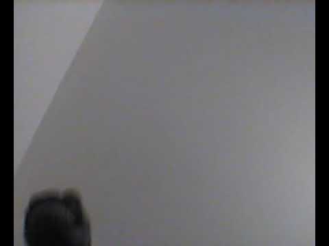 Godzilla and bearzilla Jr. Vs Godzilla EXE - YouTube