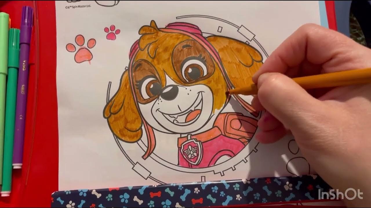 I Paw Patrol Skye Youtube