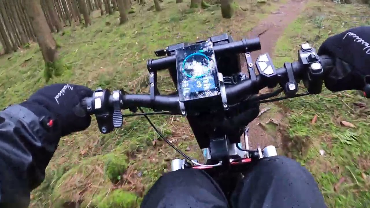 Rehasense PAWS Tourer Rold Skov - YouTube