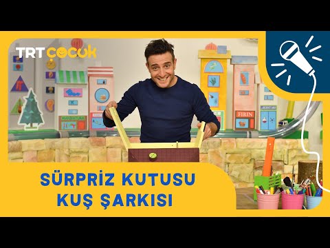 Sürpriz Kutusu | Kuş Şarkısı
