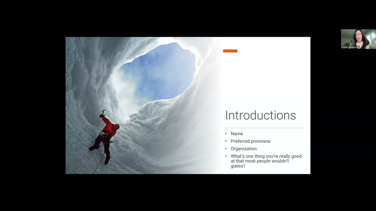 First CETA Interim Performance Review Template Workgroup Meeting - YouTube