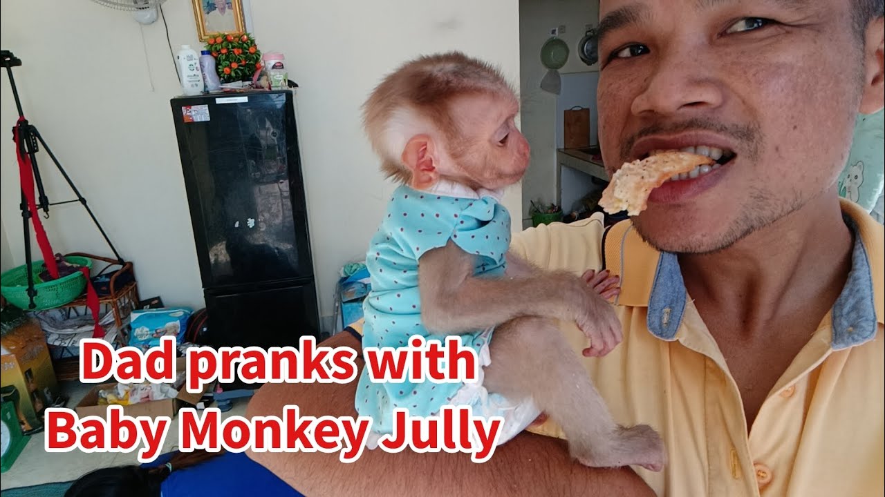 Dad Prank to Baby Monkey Jully - YouTube