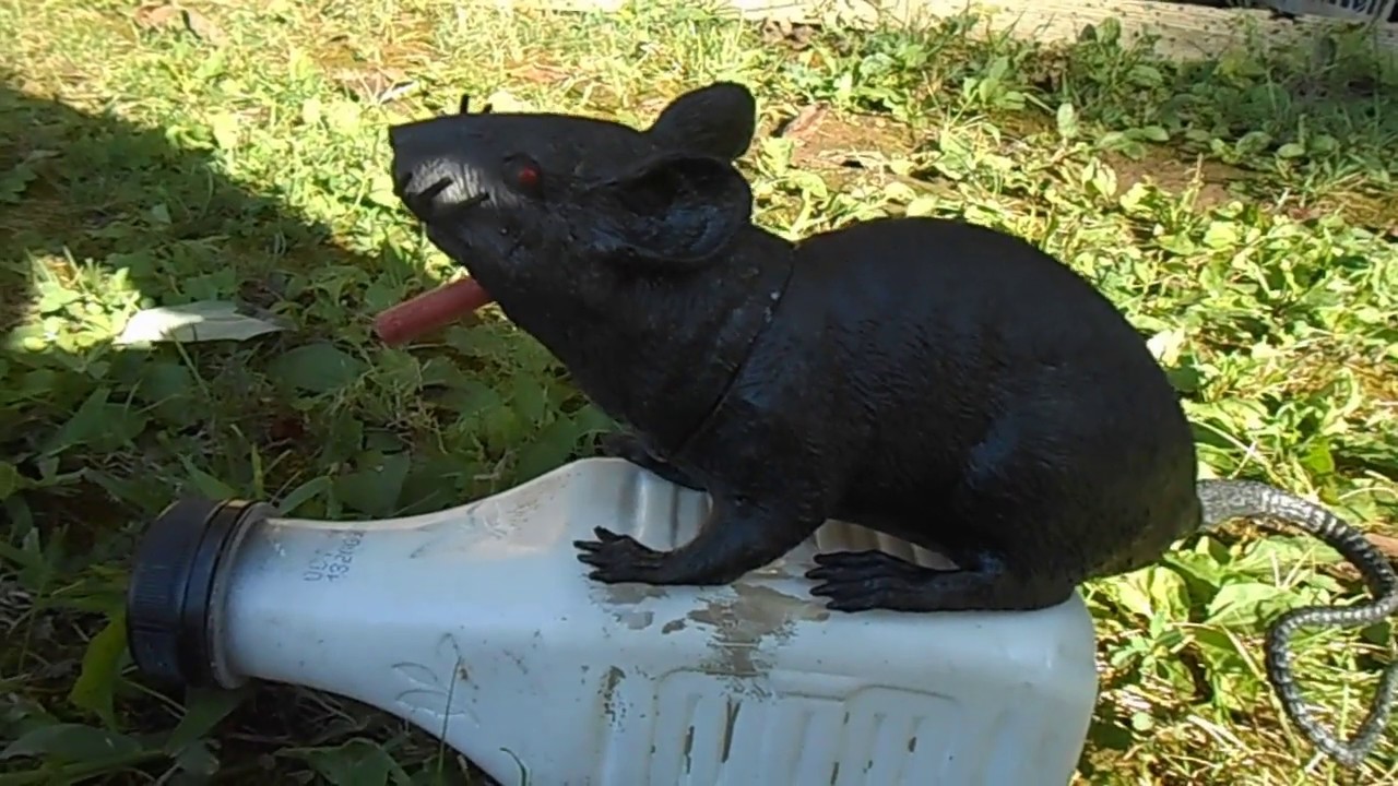 Burt the cigarette smoking rat and other outtakes - YouTube