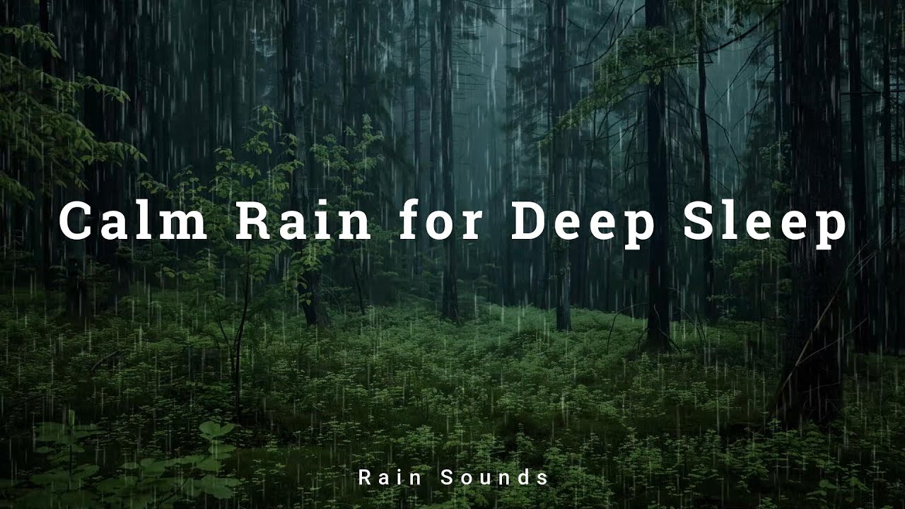 Peaceful Noise of Rain. Relaxation and Quiet Thoughts. Peaceful Sleep ...