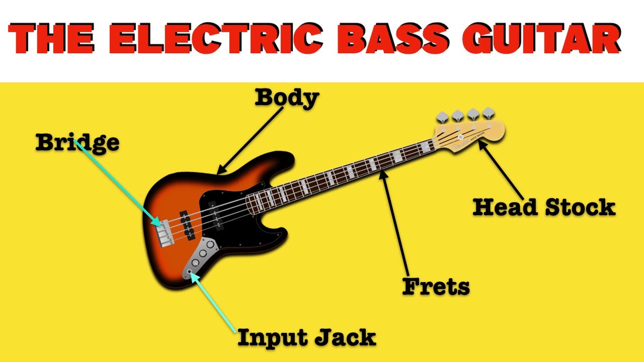 The Electric Bass Guitar - YouTube