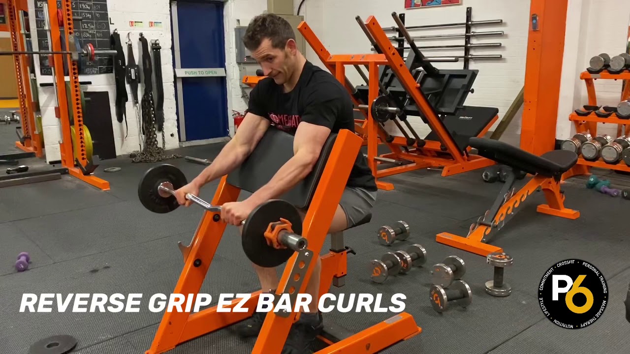 Priority 6 Reverse Grip Ez Bar Preacher Curl Youtube