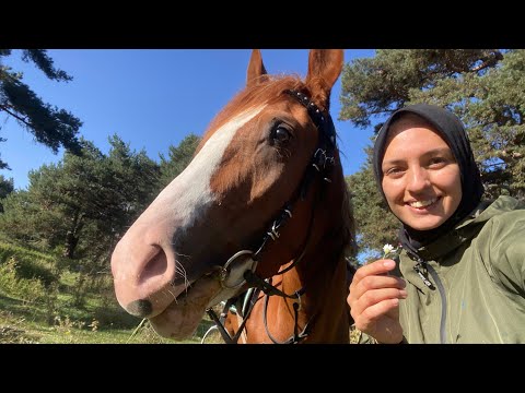 ARAP ATIM İLE YAYLA SAFARİSİ - ACEMİ AT BENİ KORKUTUYOR 😟