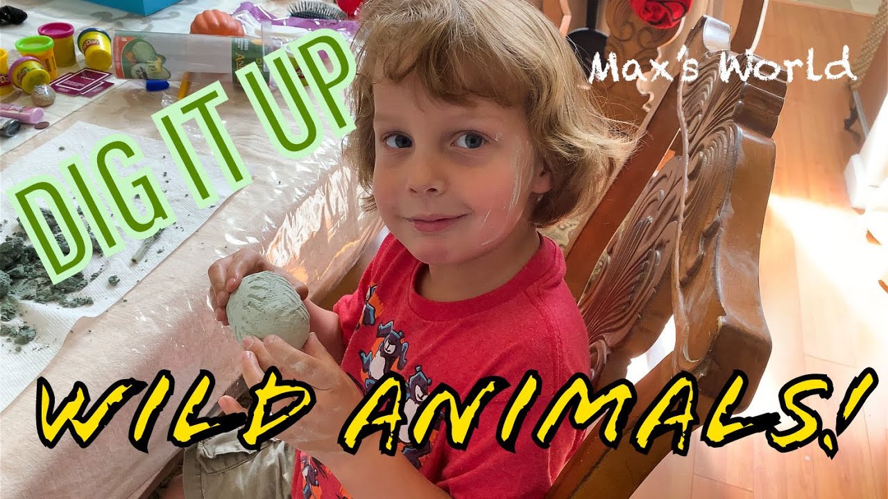 Dig It Up! WILD ANIMALS - YouTube