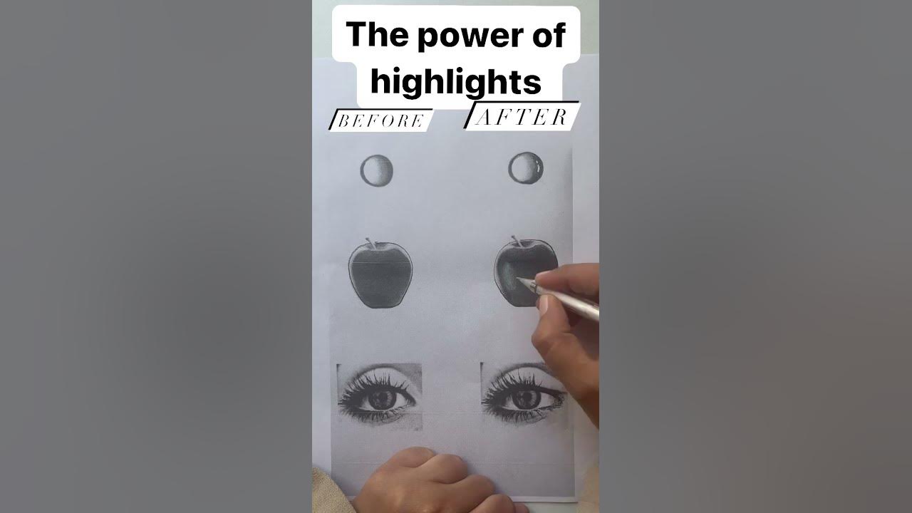 The Power of Highlight | Highlighting the Objects | Sketching Tips #sketching #highlighting ...