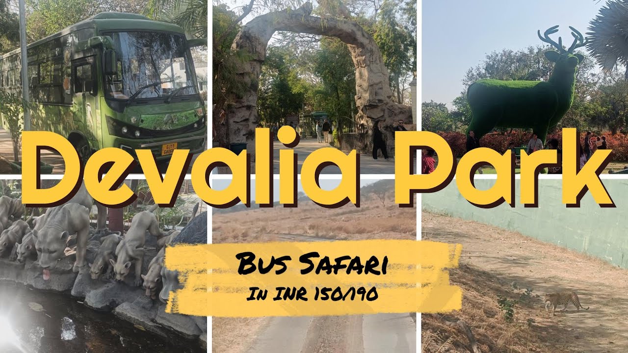 Devalia Park | Devalia Bus Safari | Lions Safari| Asiatic Lions Safari ...