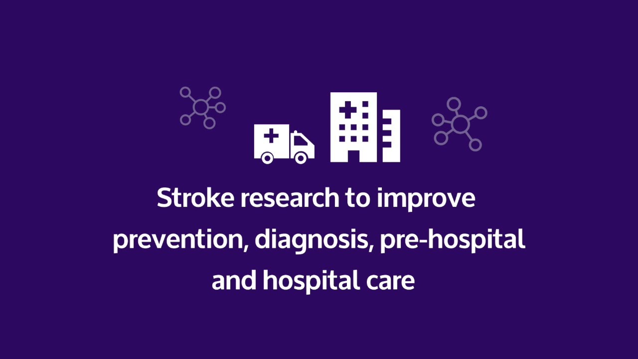Priority areas for stroke research to improve prevention and acute care ...