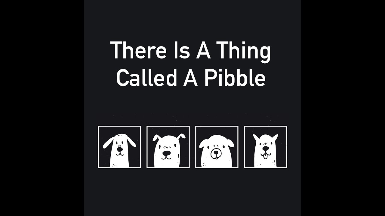 There is a thing called a Pibble for Operation Sidekick - YouTube