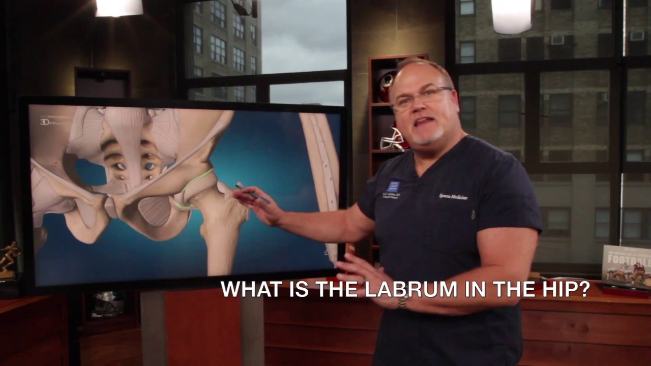 Dr. Mark Adickes: What is the labrum in the hip? - YouTube