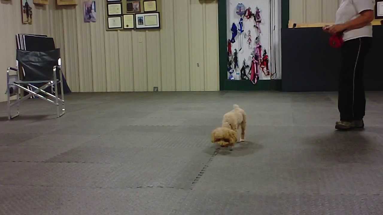 Hand target intro - YouTube