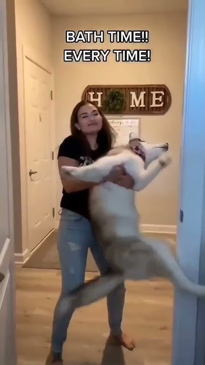 Leave me I don't want to bath 😭😭😭 Funny dog video😂 #shorts - YouTube