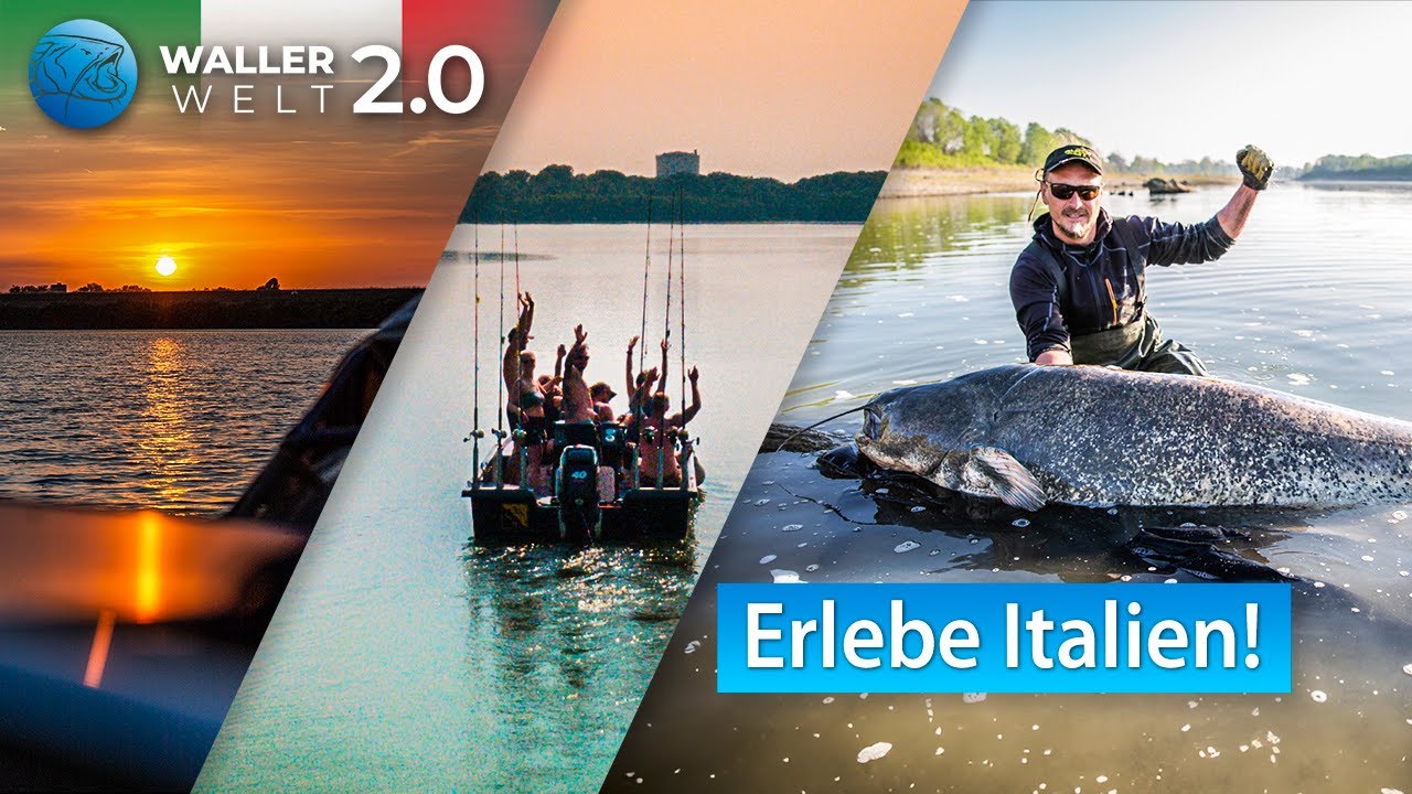 Wallerangeln am Po - Erlebe Italien pur in der Waller Welt 2.0 Welscamp ...