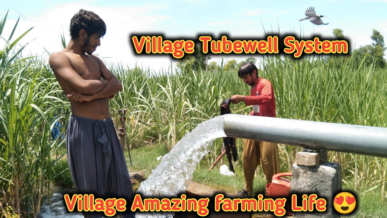 Village Tube Well in Action | Real Farming Life in Rural Pakistan ...