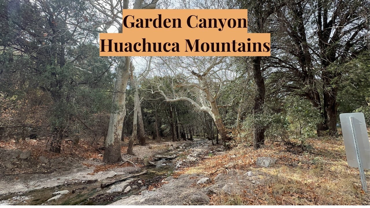 Come With Me To A Magical Place Called Garden Canyon! - YouTube