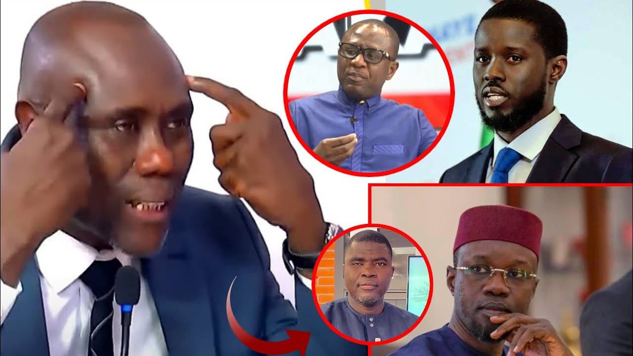 🛑 urgent : Djibril Bèye lâche une exclusivité sur - le duo Sonko ...