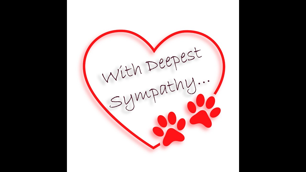Virtual Sympathy Card - Loss of Pet - YouTube
