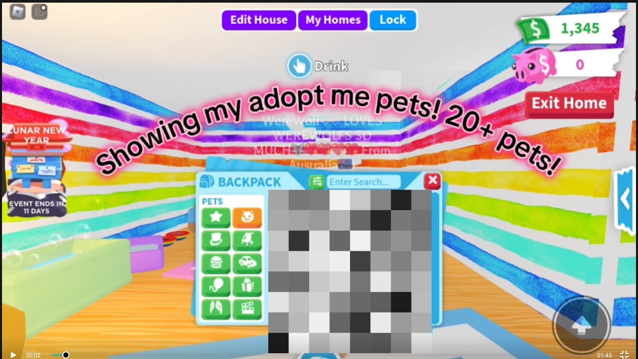 showing my adopt me pets! 🐈🐰🐹🐱🐶🐕🐇 - YouTube