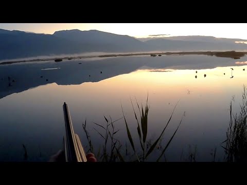 Ördek avı 2019, duck hunting,  охота на уток,