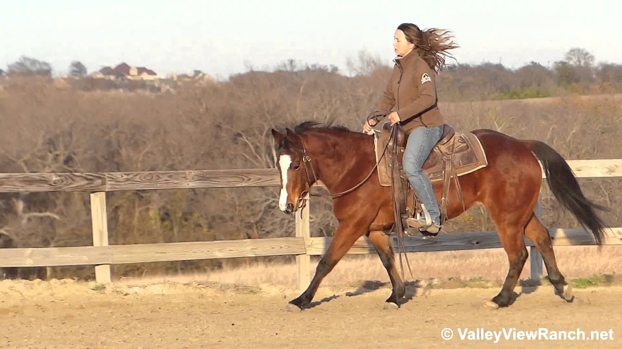 Hickorys Irish Hobby - rides outside w lead changes - Valley View Ranch ...