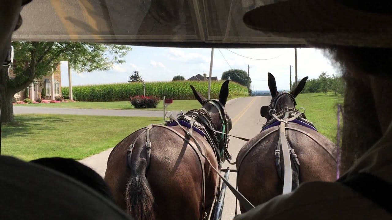 Amish Buggy Ride (first half) - YouTube