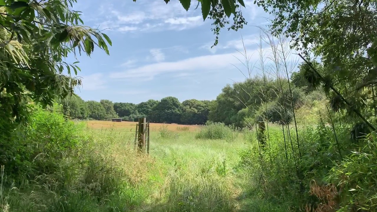 Aldringham Fen Site - YouTube