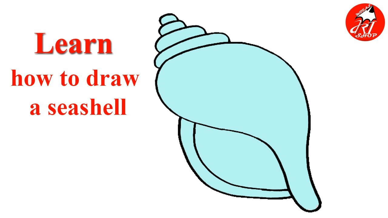 how to draw a seashell | seashell drawing easy | - YouTube